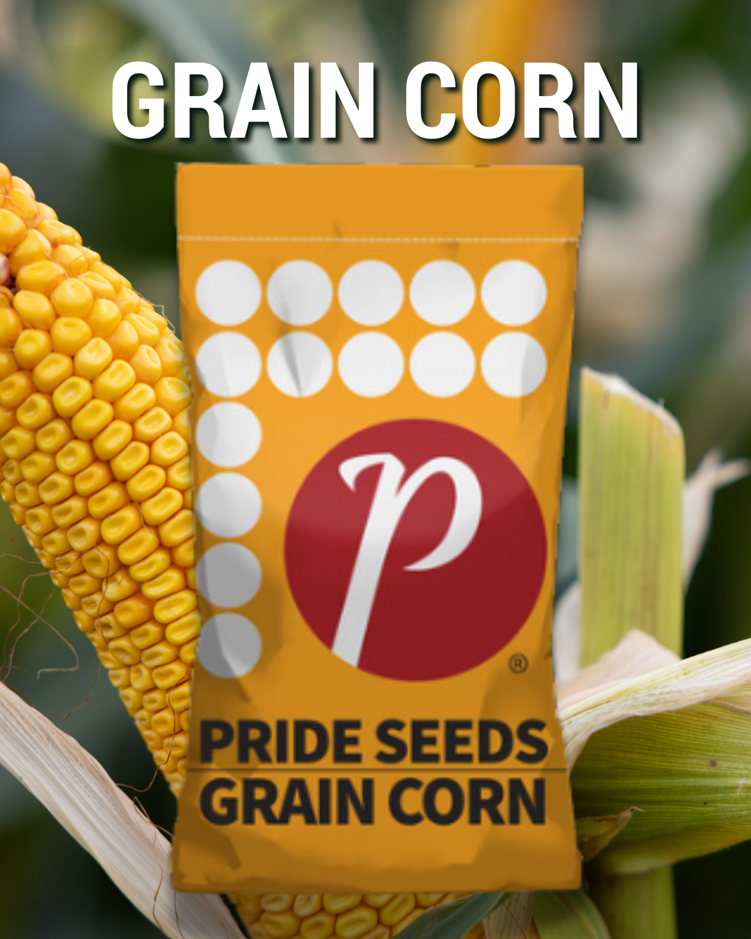 Home [prideseed.com]