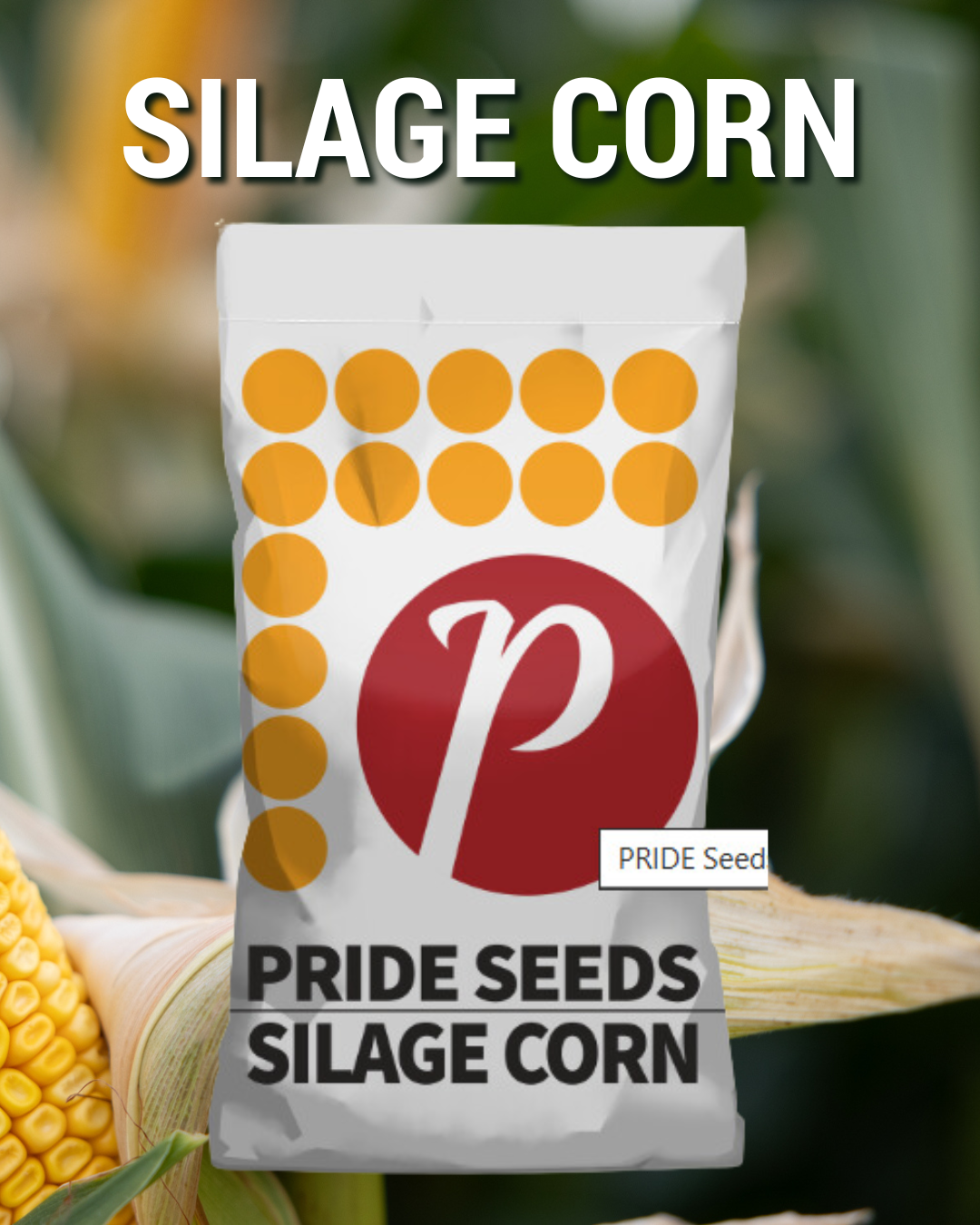 Home [prideseed.com]