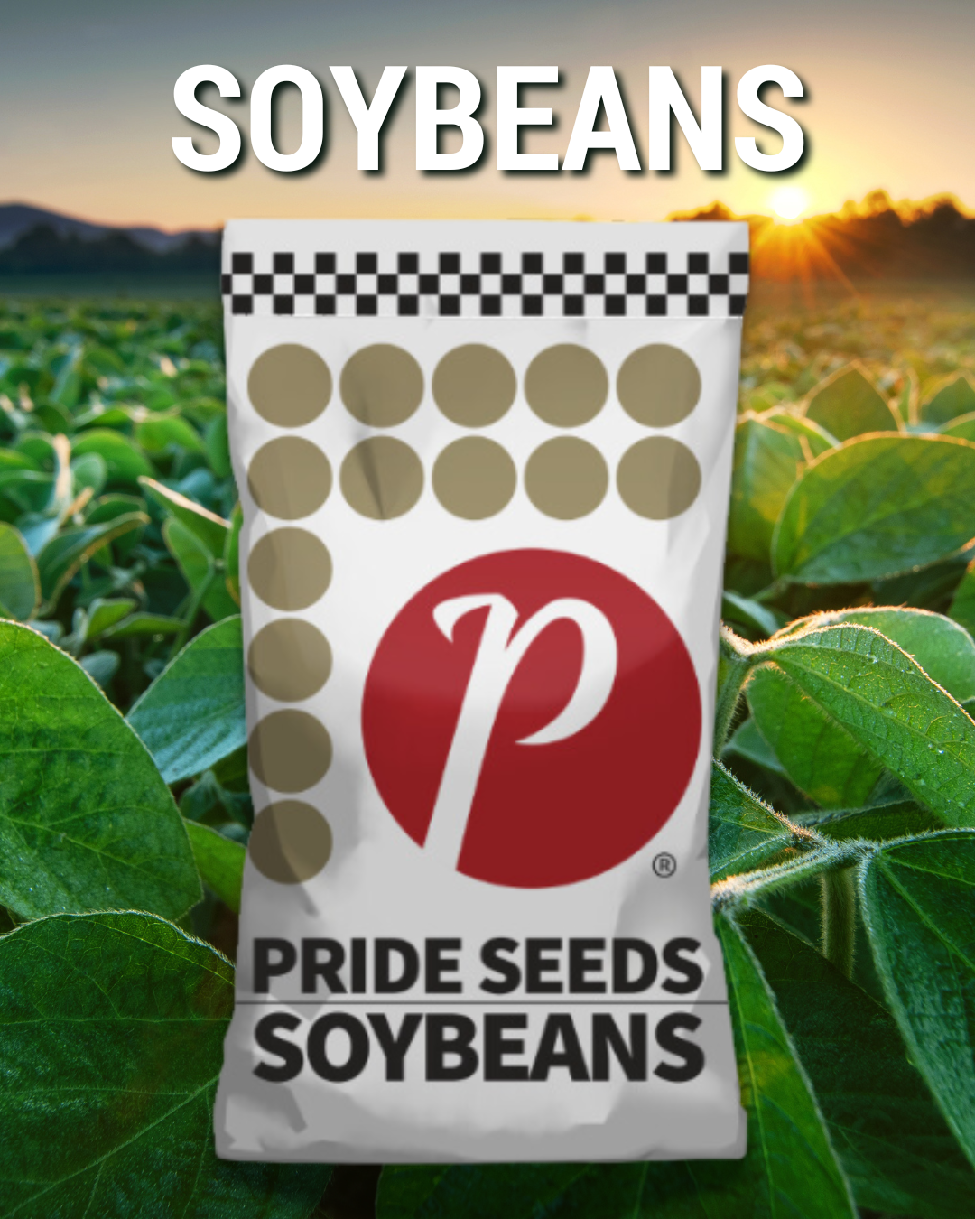 Home [prideseed.com]